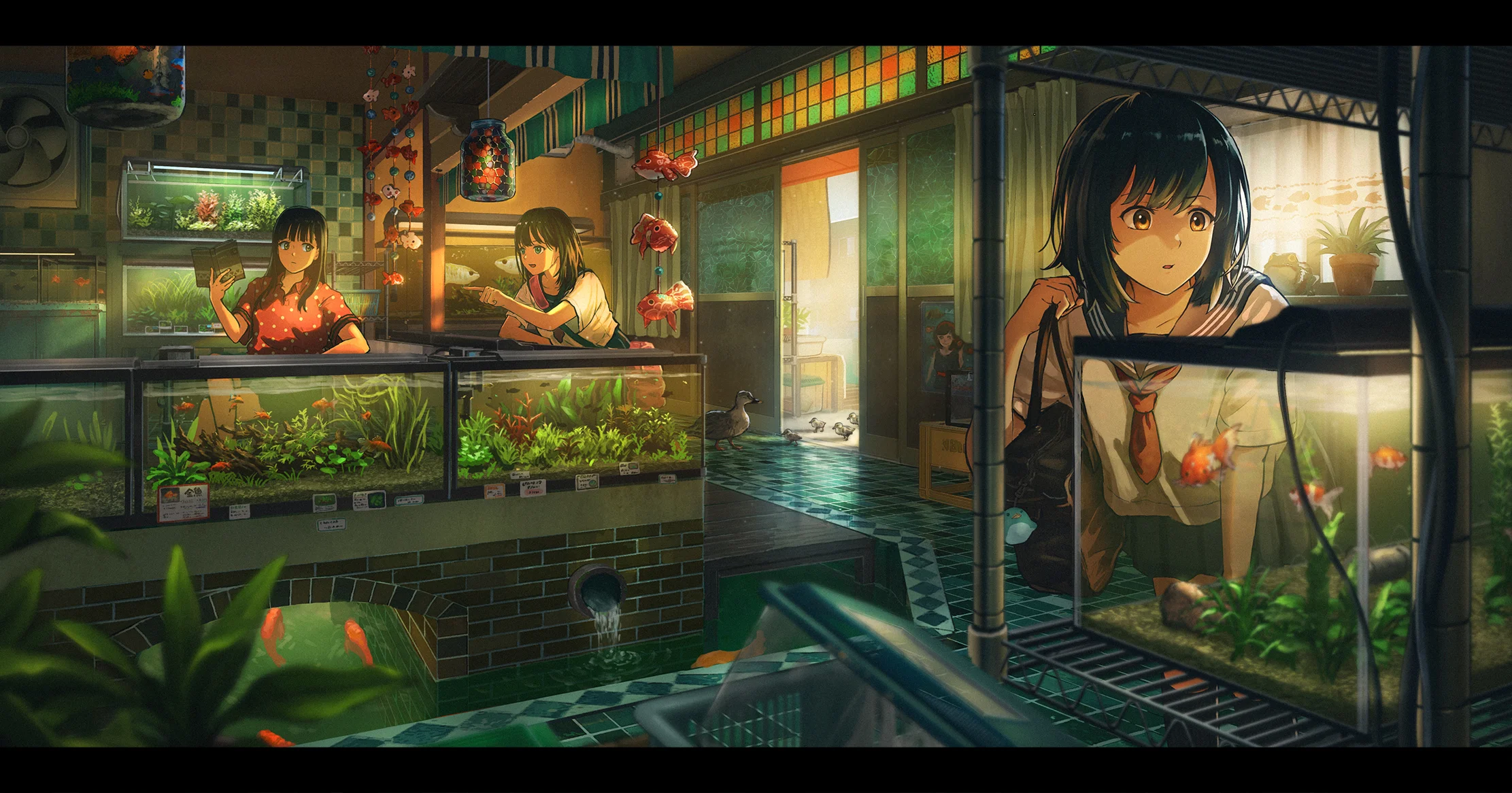 第二百九十四阶:回顾